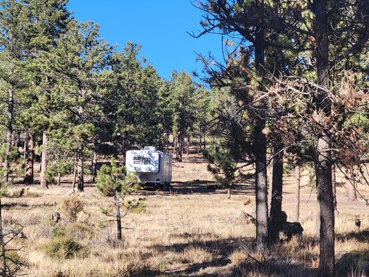 Caaman Springs Dispersed Camping Reviews updated 2026