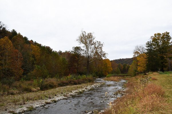 River's Edge Campground Reviews updated 2023