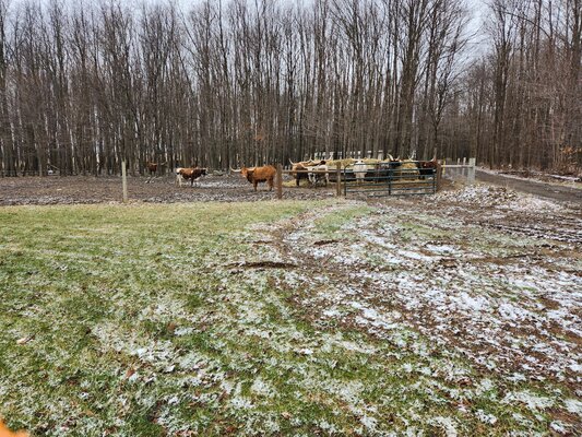 CF Ranch & Cattle Co. Campground Reviews updated 2026