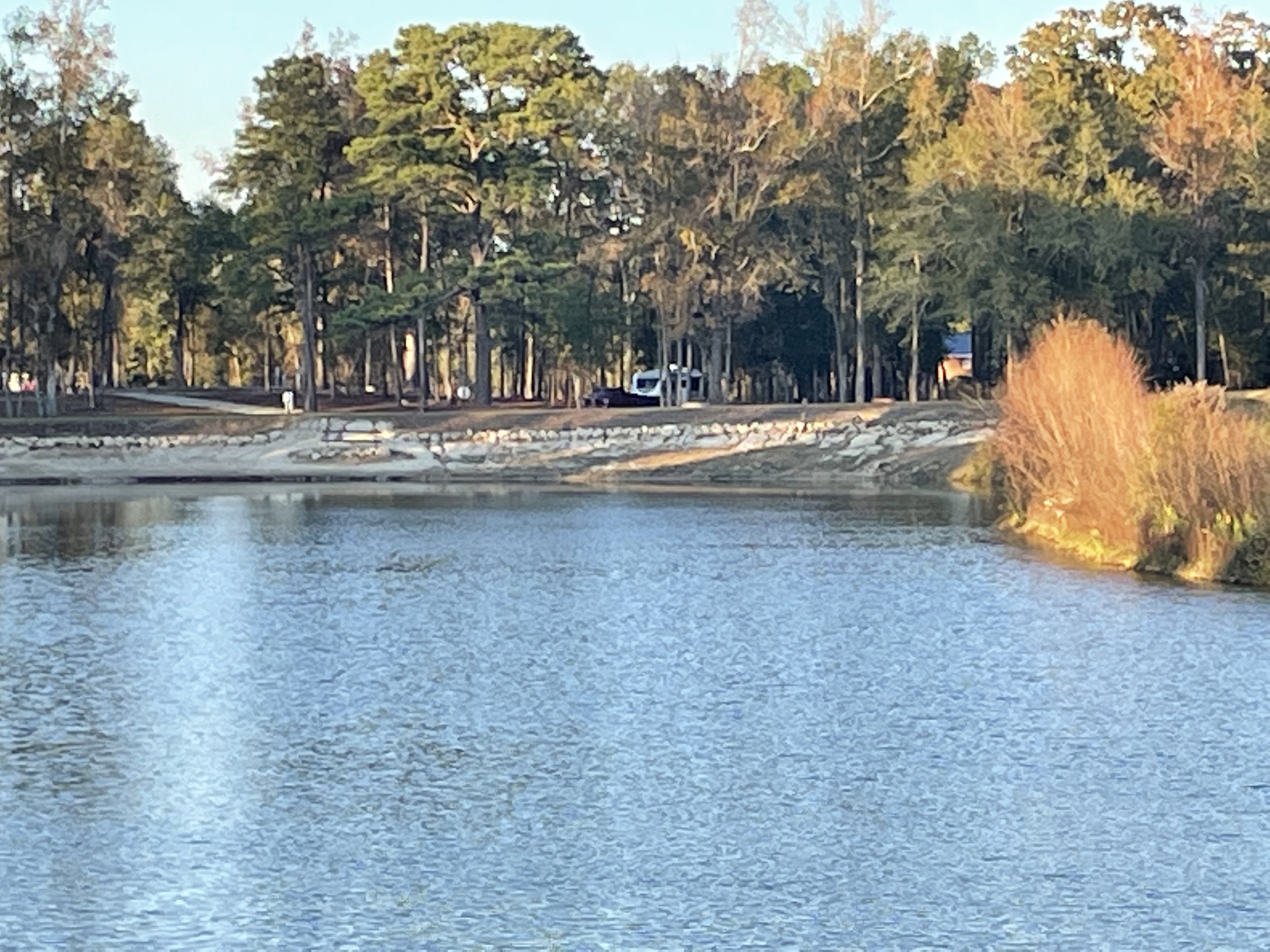 Magnolia Lane Campground & RV Resort Reviews updated 2024