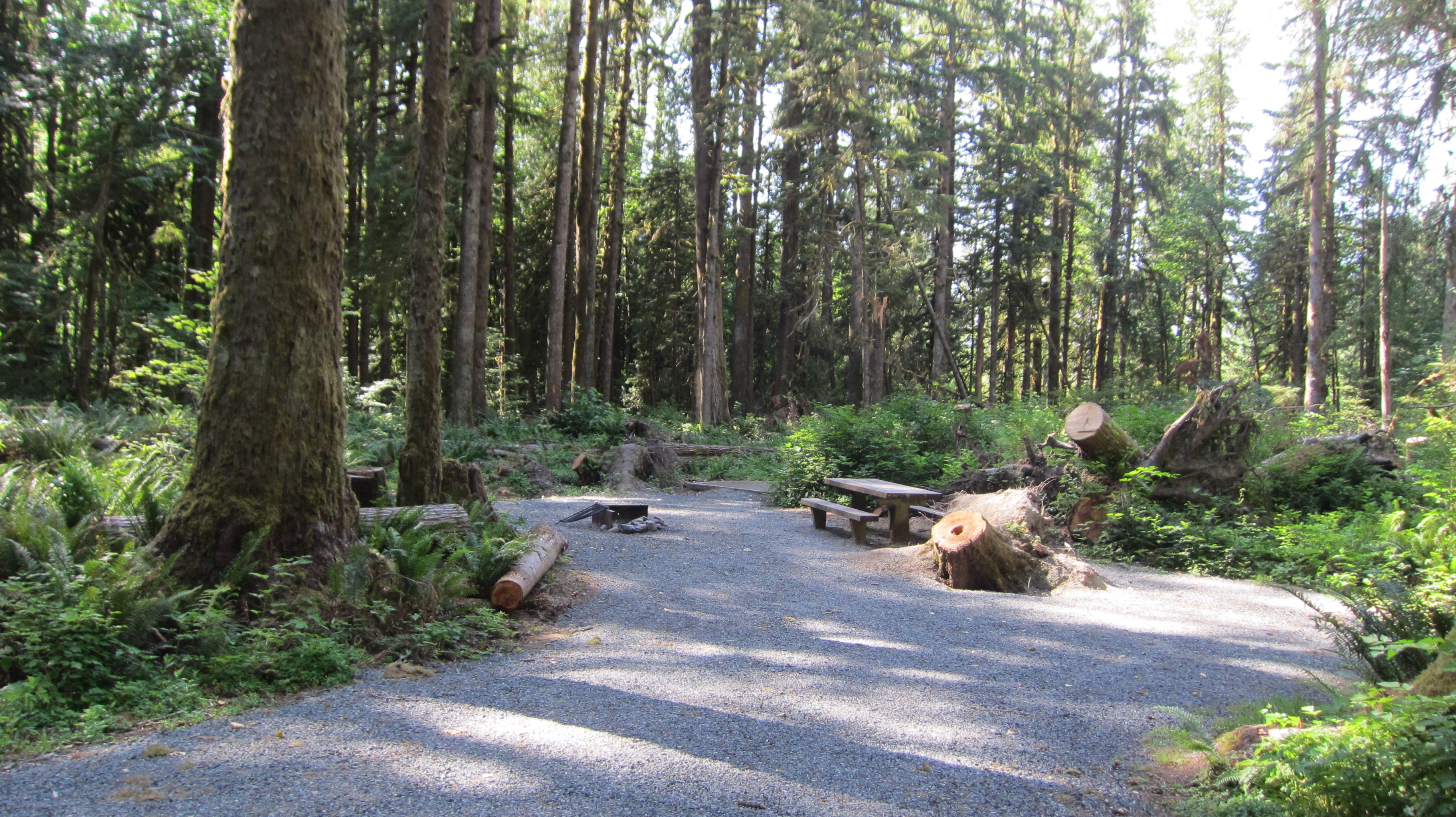 Turlo Campground Reviews updated 2026