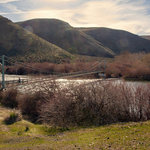 Umtanum Campground Reviews - Campendium