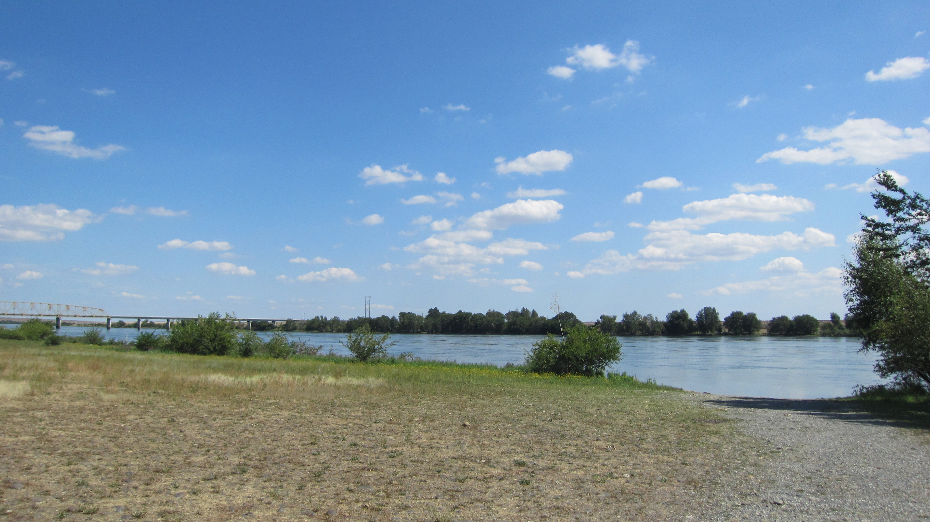 Vernita Bridge Reviews updated 2026