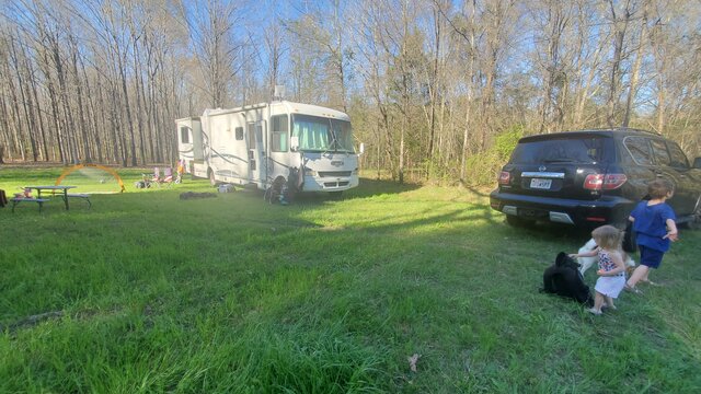 Lowndes WMA Primitive Camping Reviews updated 2026