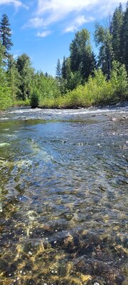 Twentynine Pines Campground Reviews updated 2025