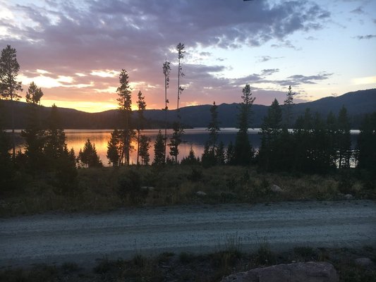 Hog Park Reviews updated 2025