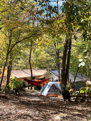 Wilderness Cove Campground & Reservations updated 2024