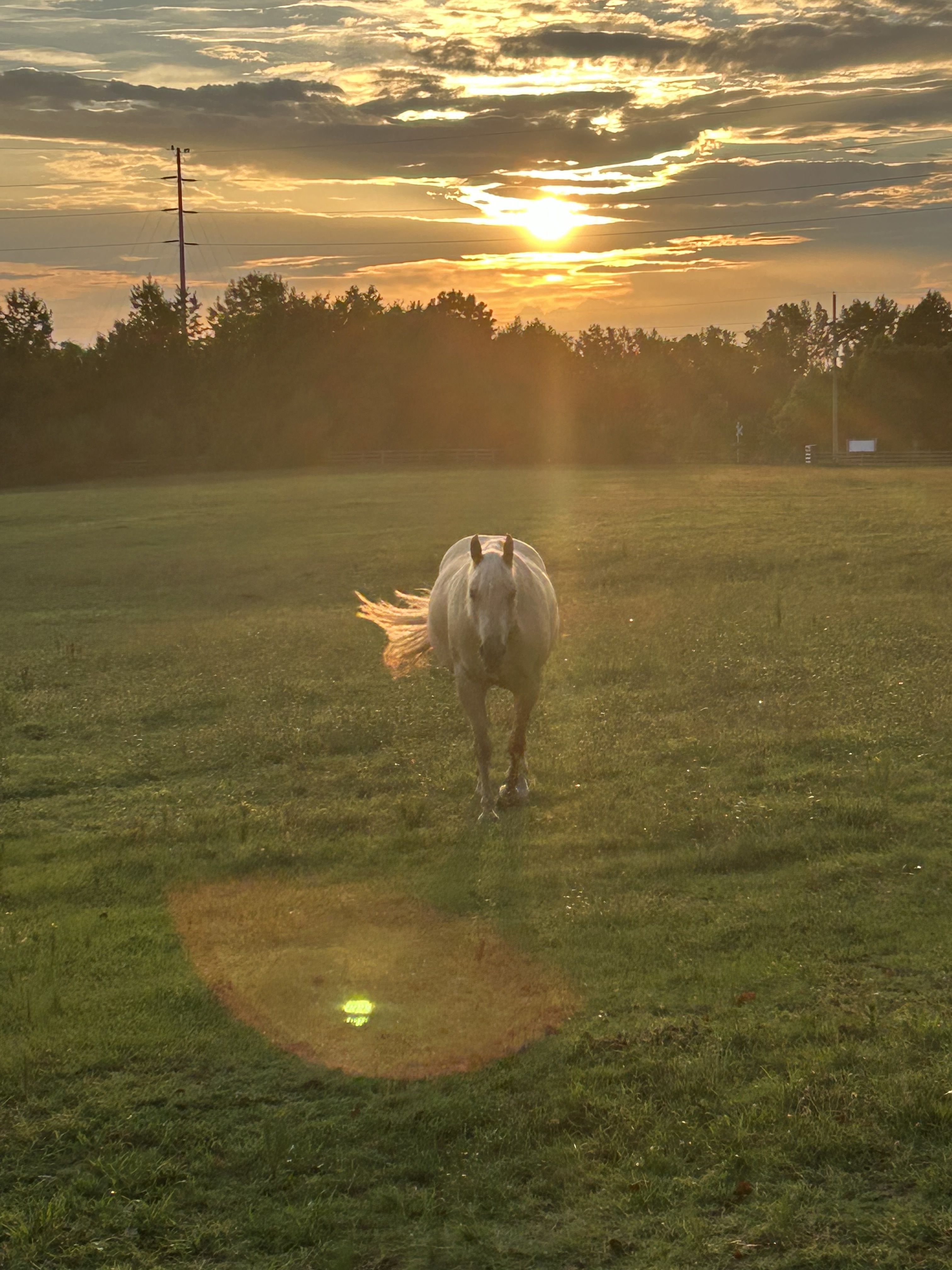 Liberty Stables Camping and Layover updated 2026