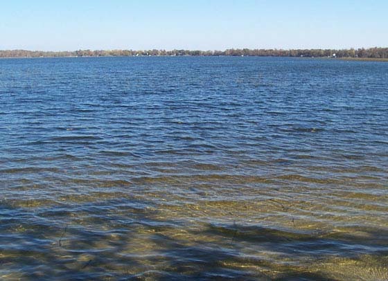 Walker Lake Preserve Reviews updated 2026