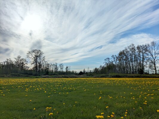 Emerald Springs RV Park updated 2025