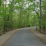 Louise F. Cosca Regional Park Reviews - Campendium