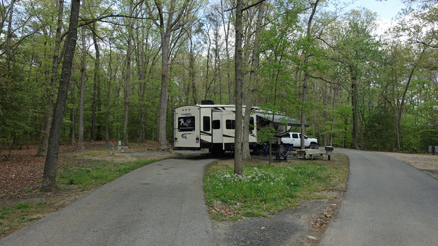 Louise F. Cosca Regional Park Reviews updated 2025