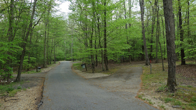 Louise F. Cosca Regional Park Reviews