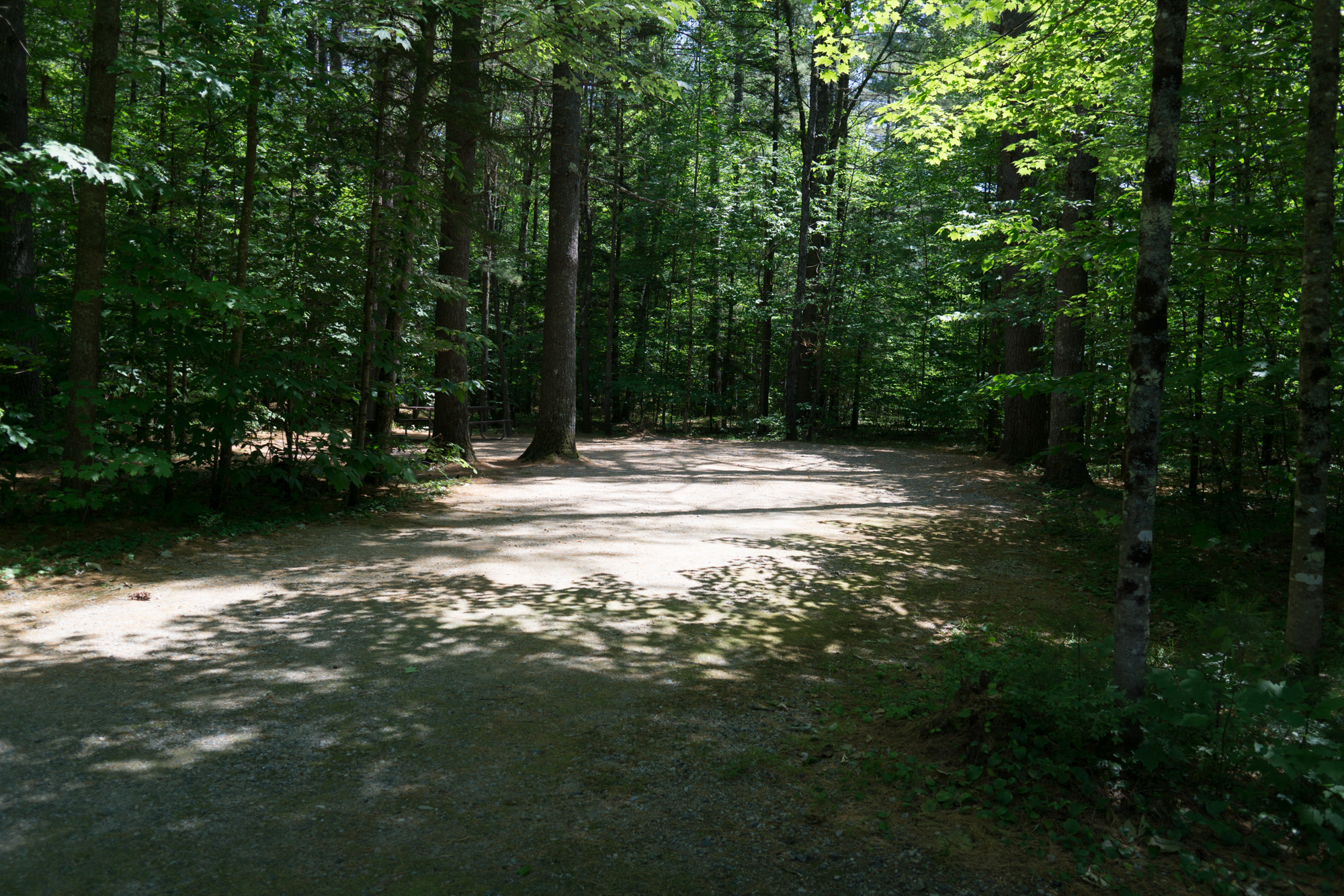 Cold River Campground & Reservations updated 2022