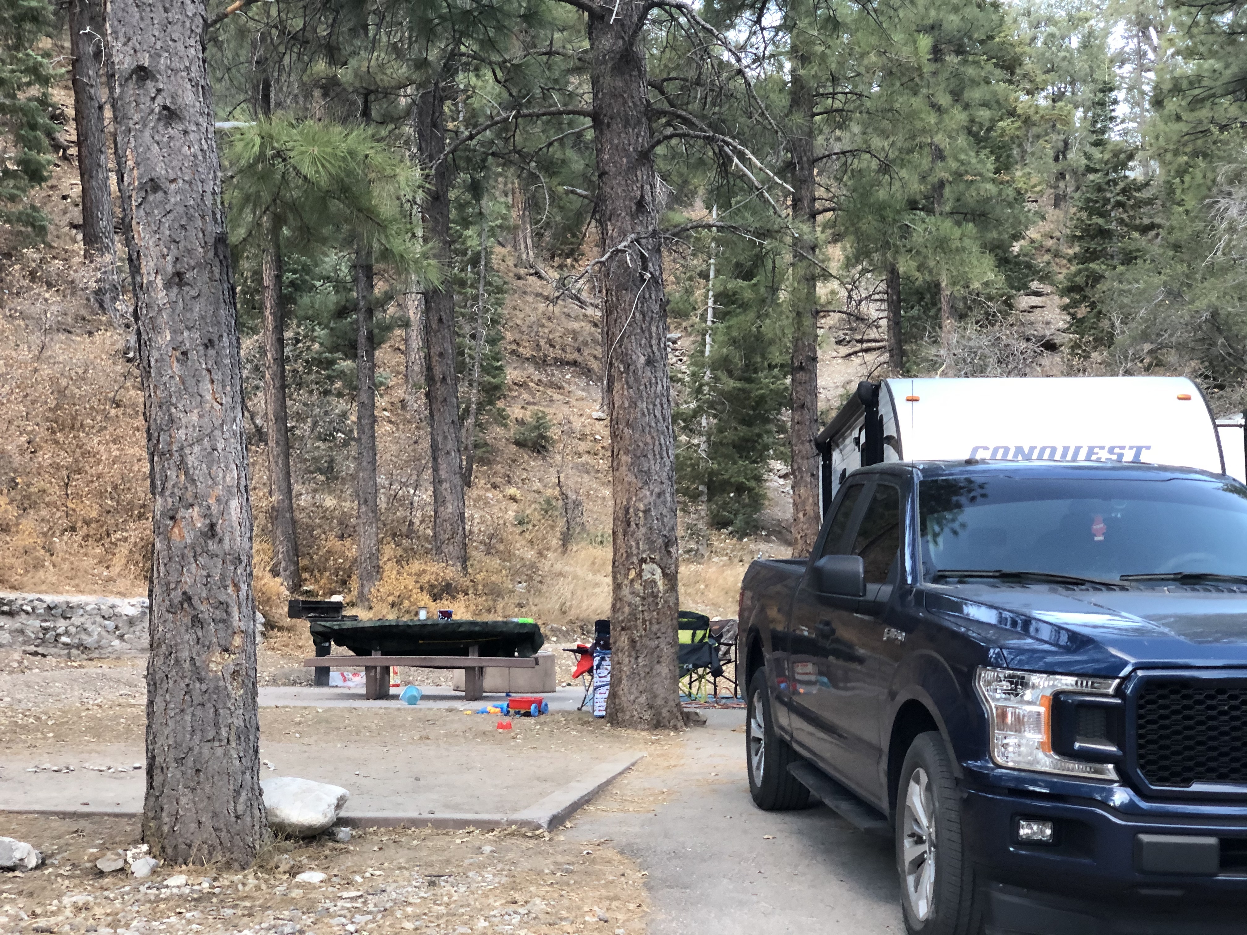 Fletcher View Campground Reviews updated 2026