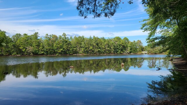 CCC Campground Reviews updated 2024