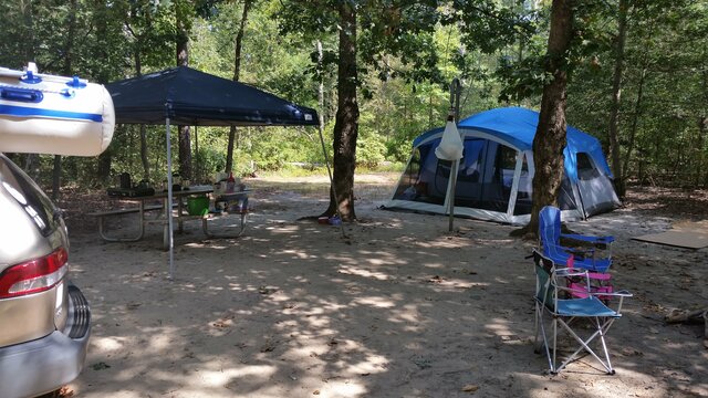 Parvin State Park Campground Reviews updated 2025