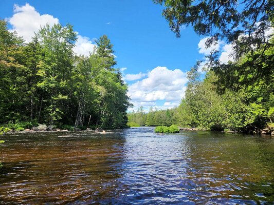 Lewey Lake Campground Reviews updated 2022