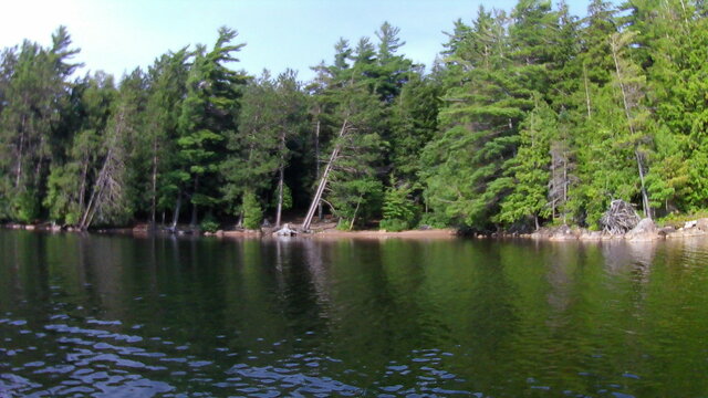 Taylor Pond Campground Reviews updated 2022