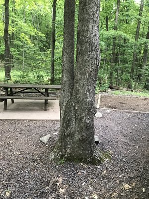 Moon Lake Recreation Area Reviews updated 2020