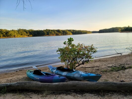 Buffalo Park Campground Reviews updated 2025