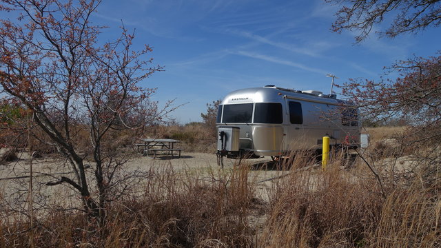 First Landing State Park Campground Reviews updated 2026