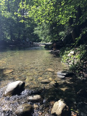 Fort Dummer State Park Reviews updated 2022