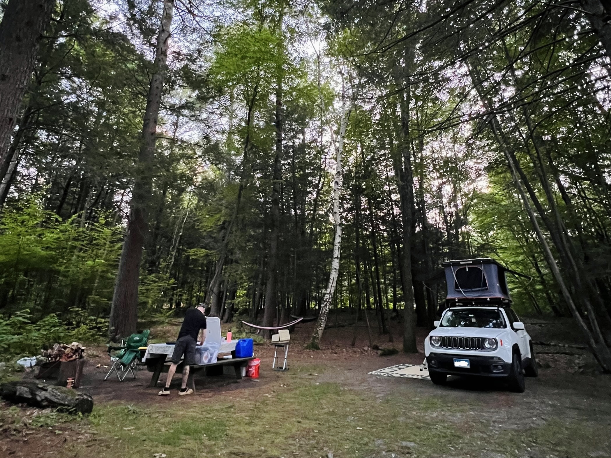 Fort Dummer State Park Campground Reviews updated 2025
