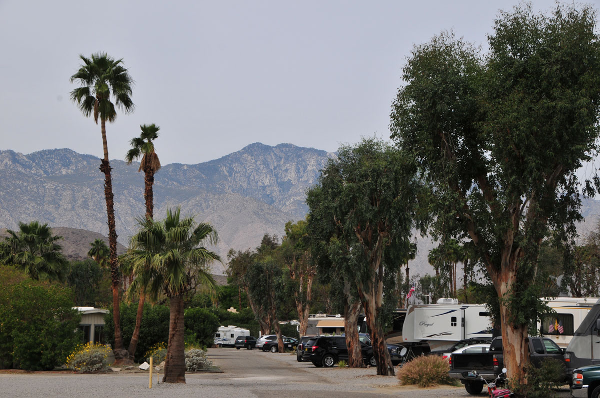 Cathedral Palms RV Resort Reviews updated 2025