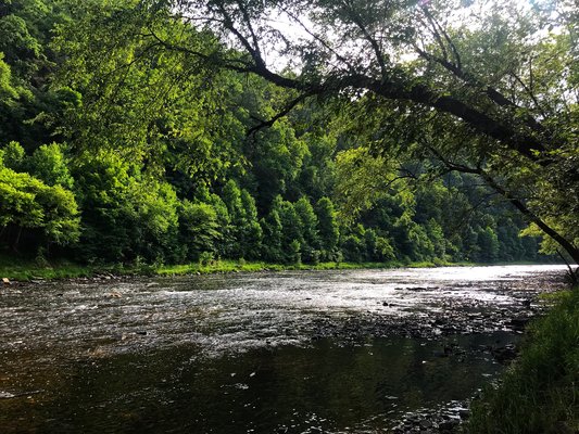 Riverside Campground Reviews updated 2020