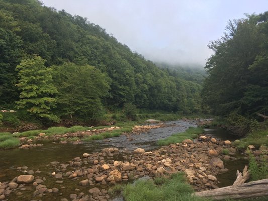 Tea Creek Campground Reviews updated 2020