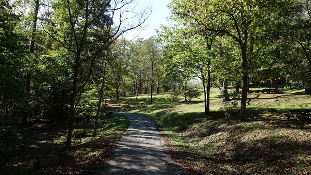 Tygart Lake State Park
