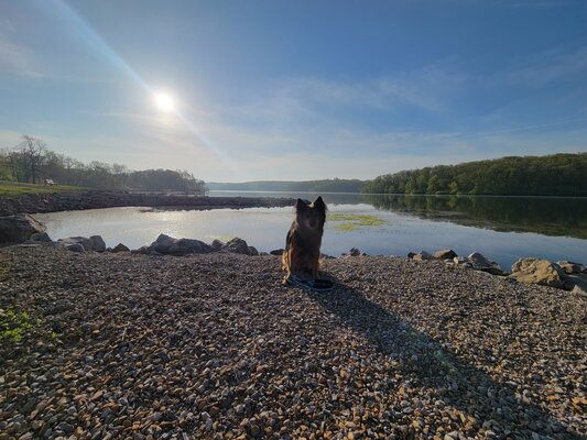 Lake Wapello State Park Reviews updated 2024
