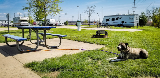 Riverview City Park Reviews updated 2025