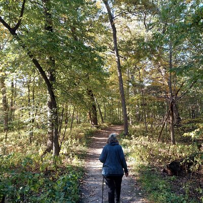 Thomas Mitchell County Park Reviews updated 2025