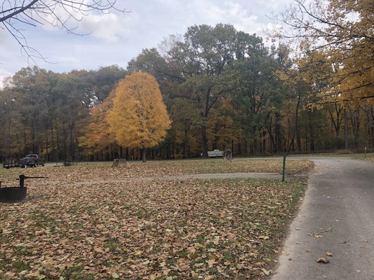 Kickapoo State Recreation Area Reviews updated 2025