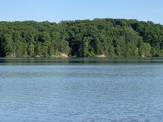 Deam Lake State Recreation Area Campground Reviews updated 2023