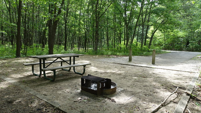 Dunewood Campground Reviews updated 2025