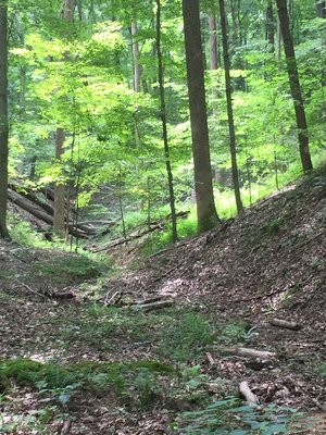 Hardin Ridge Recreation Area Campground Reviews updated 2022