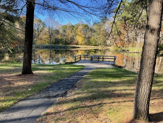 Martin State Forest Campground Reviews updated 2025