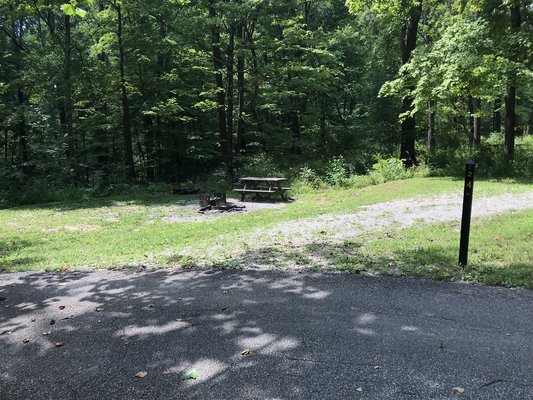 Mason Ridge Primitive Camping Area Reviews updated 2022
