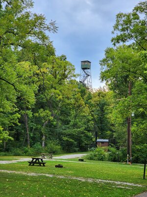 Mason Ridge Primitive Camping Area Reviews updated 2026