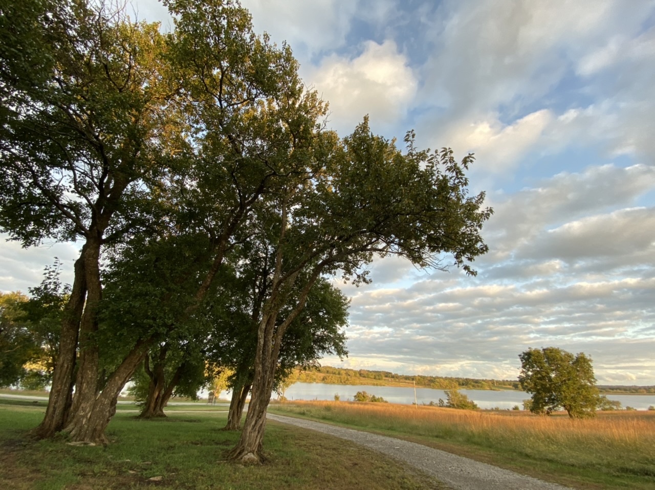 Lake Miola City Park Reviews updated 2025