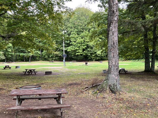 Agate Beach Park Campground Reviews updated 2024