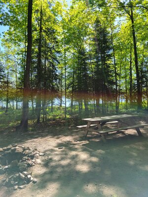 Boney Falls Basin Campground Reviews updated 2024