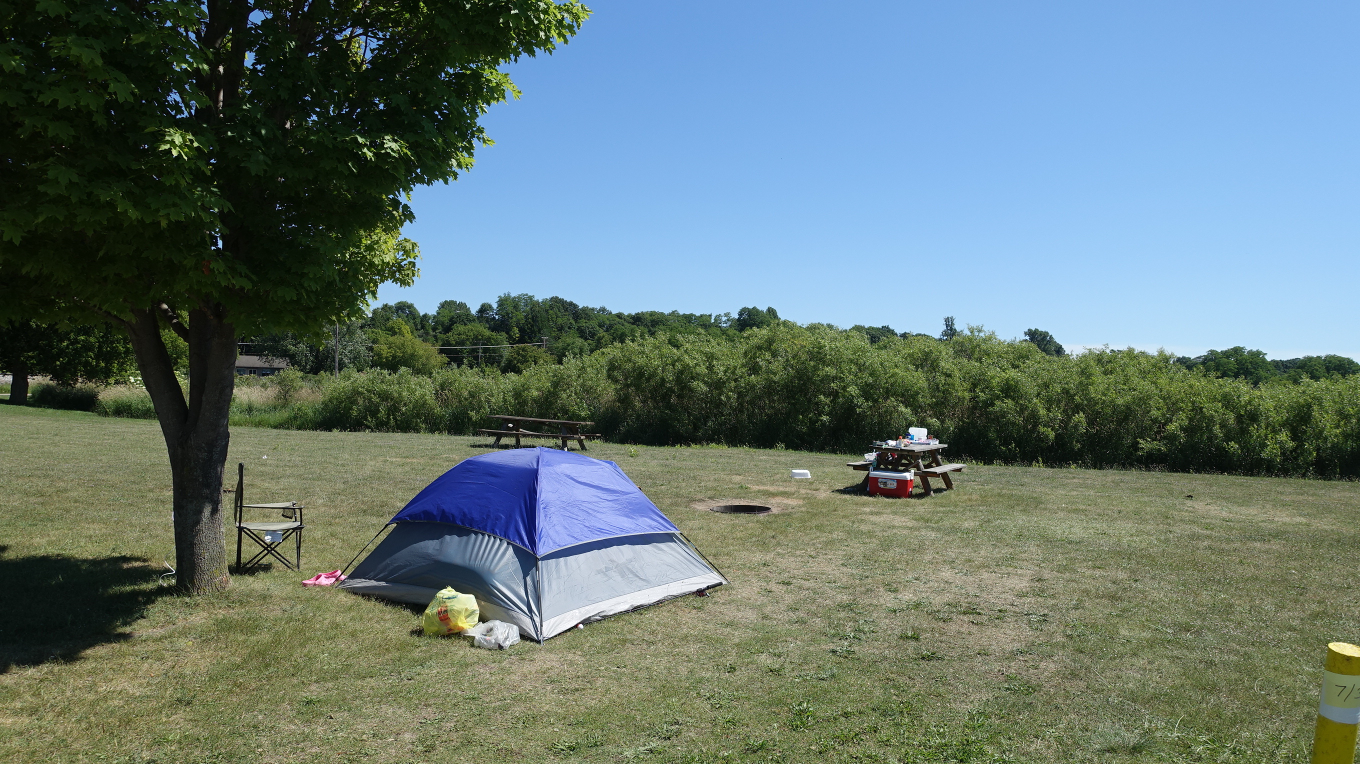 Penny Park Campground Reviews updated 2026