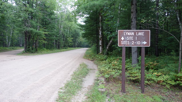 Lyman Lake Dispersed Campsites