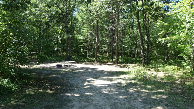 Ocqueoc Falls State Forest Campground Reviews updated 2026