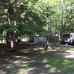 Otsego Lake County Park Reviews - Campendium