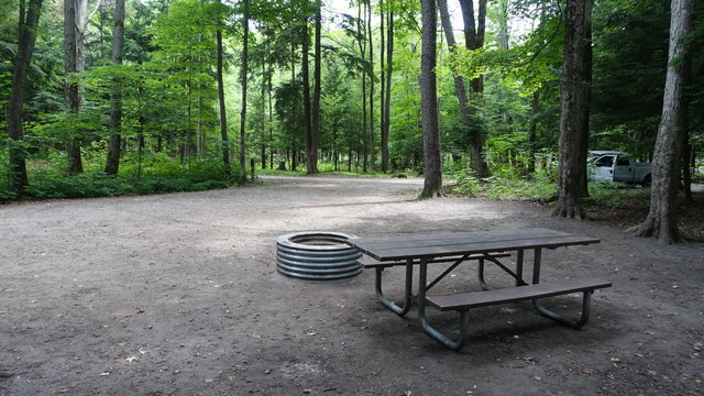 Platte River State Forest Campground Reviews updated 2022
